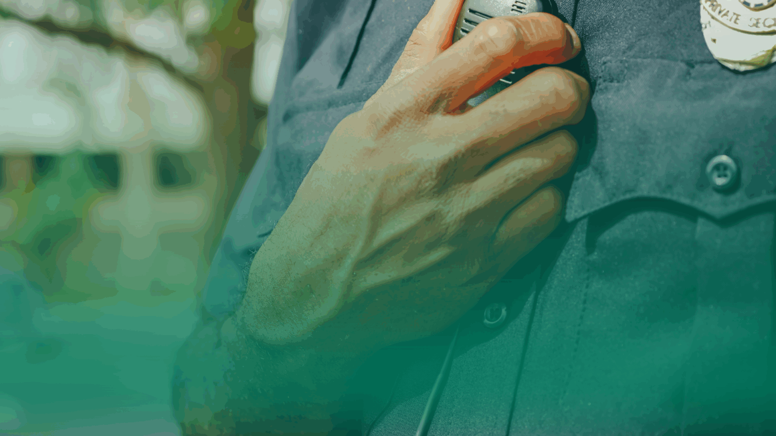 Entenda o que a lei diz sobre consulta em BOs e sistema de polícias